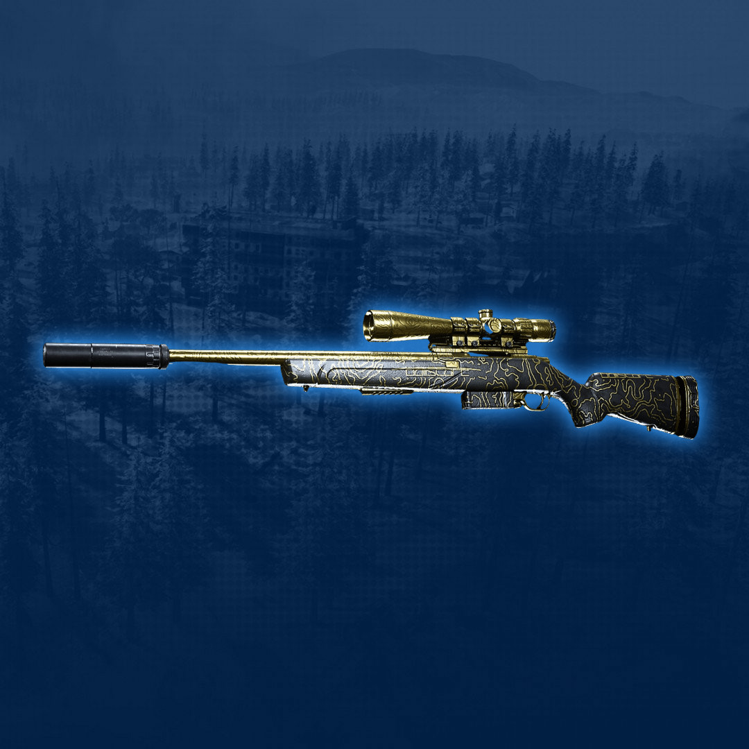 Any MWII Marksman Rifle Gold Camo Unlock - CoD Warzone Camo Boost Services