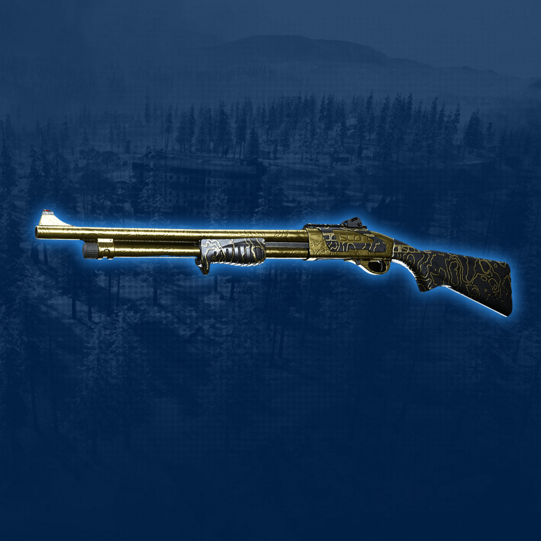 Any MWII Shotgun Gold Camo Unlock - CoD Warzone 2 Camo Boost Services