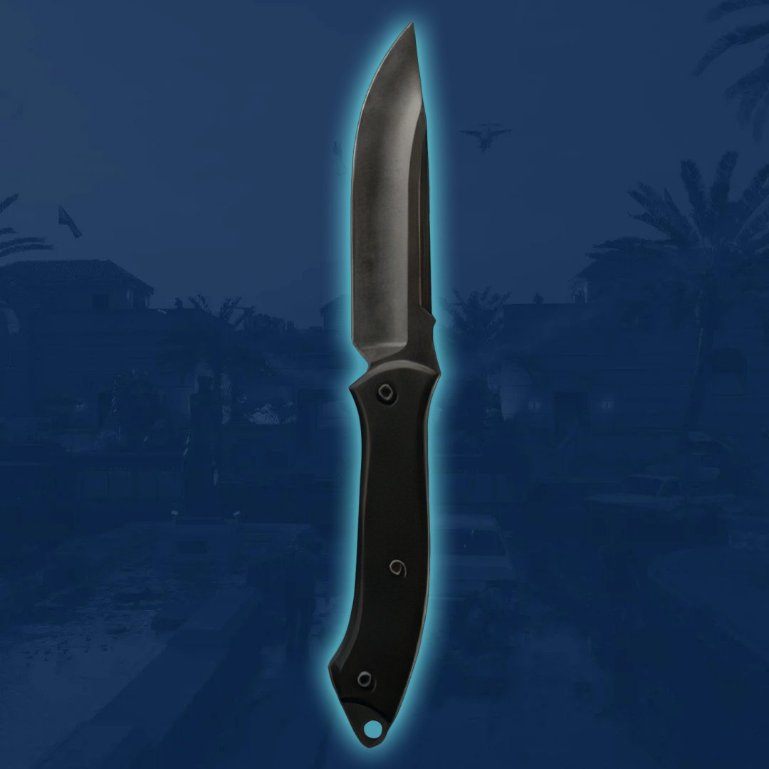 Buy Black Ops 6 Melee Leveling - CoD BO6 Carry Service