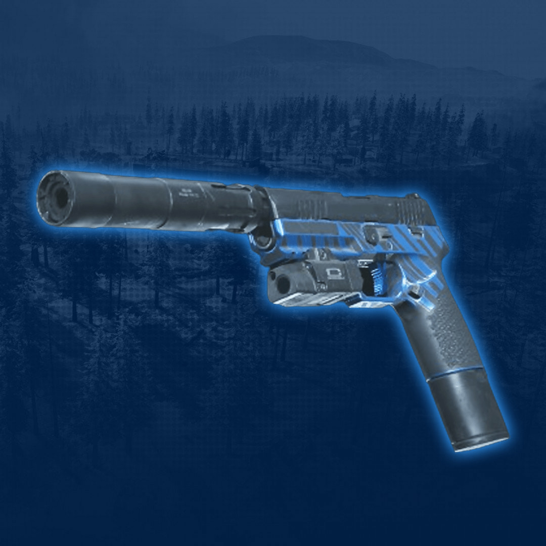 Buy M19 Akimbo Leveling - CoD Warzone Weapon Boost Services | Skycoach